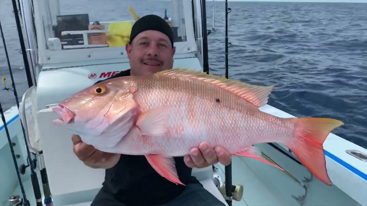 【Pesca de Pargo: Consejos y Técnicas】 - 🐟PESCAMUNDO